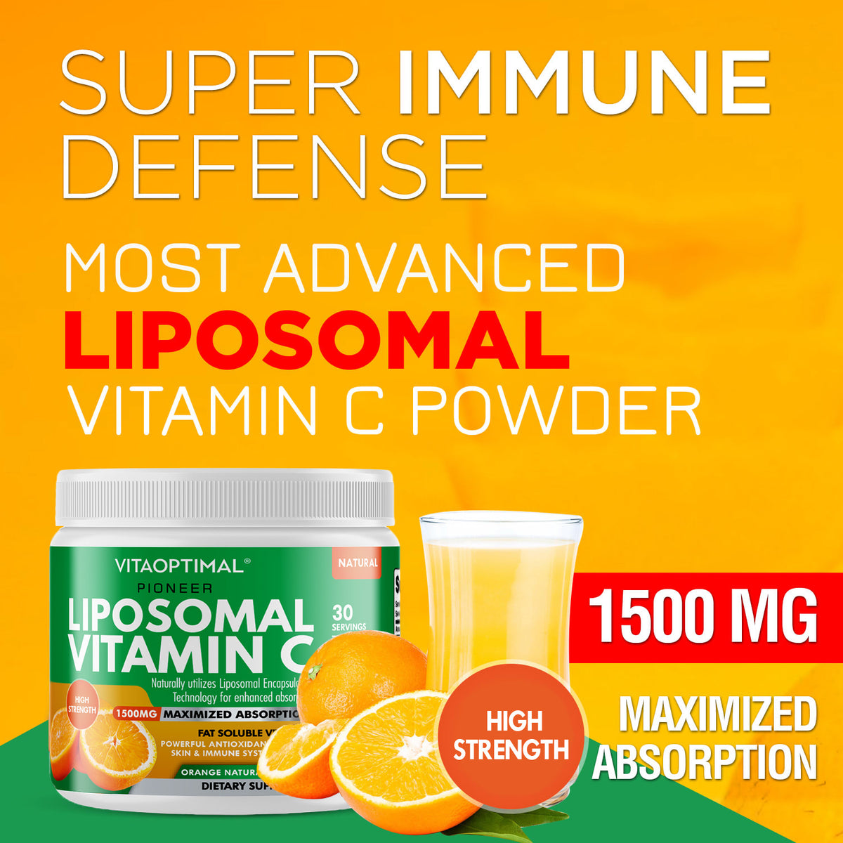 LIPOSOMAL VITAMIN C POWDER - PLUS ZINC, VITAMIN D 2500IU, ROSE HIPS ...